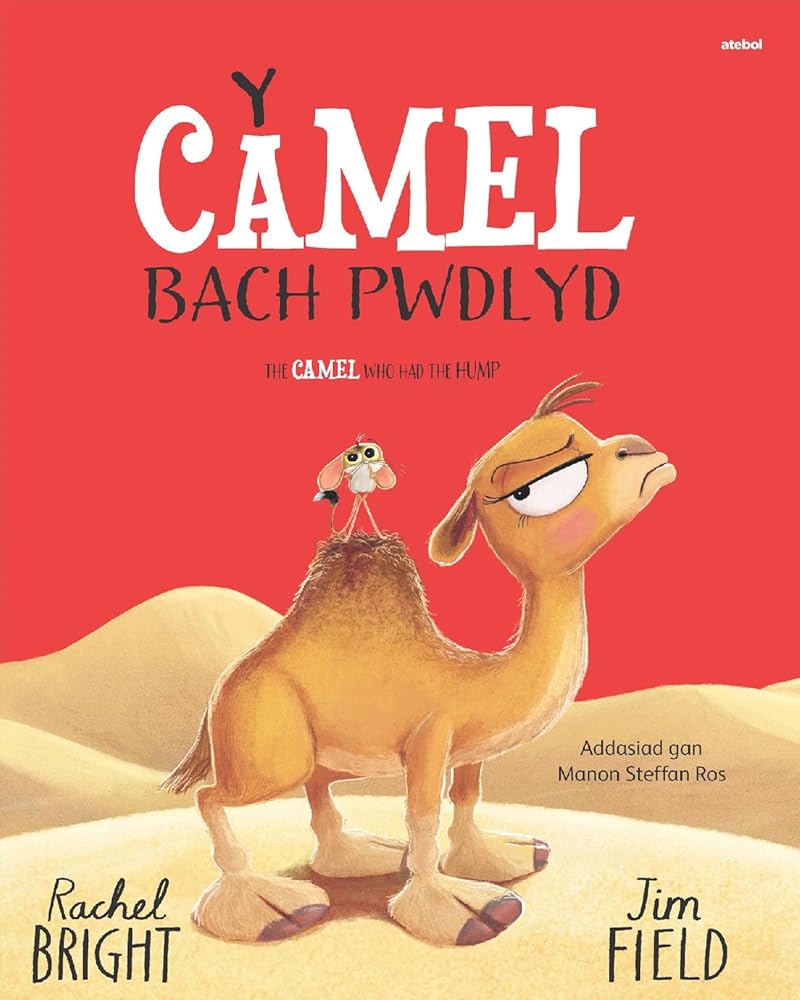 Y Camel Bach Pwdlyd / The Camel who had the hump