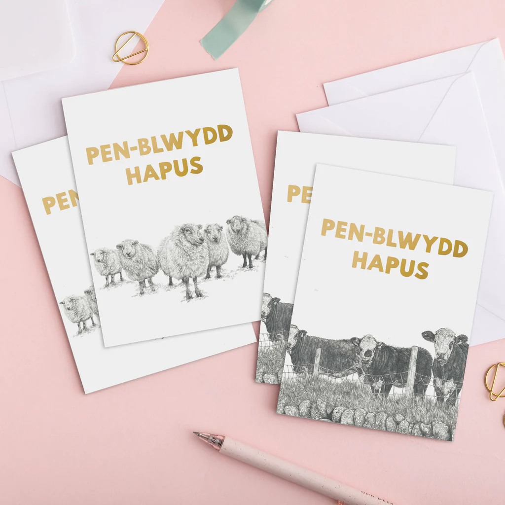 Pen-blwydd Hapus Welsh Birthday Card Set of 4 - Lleucu Howatson