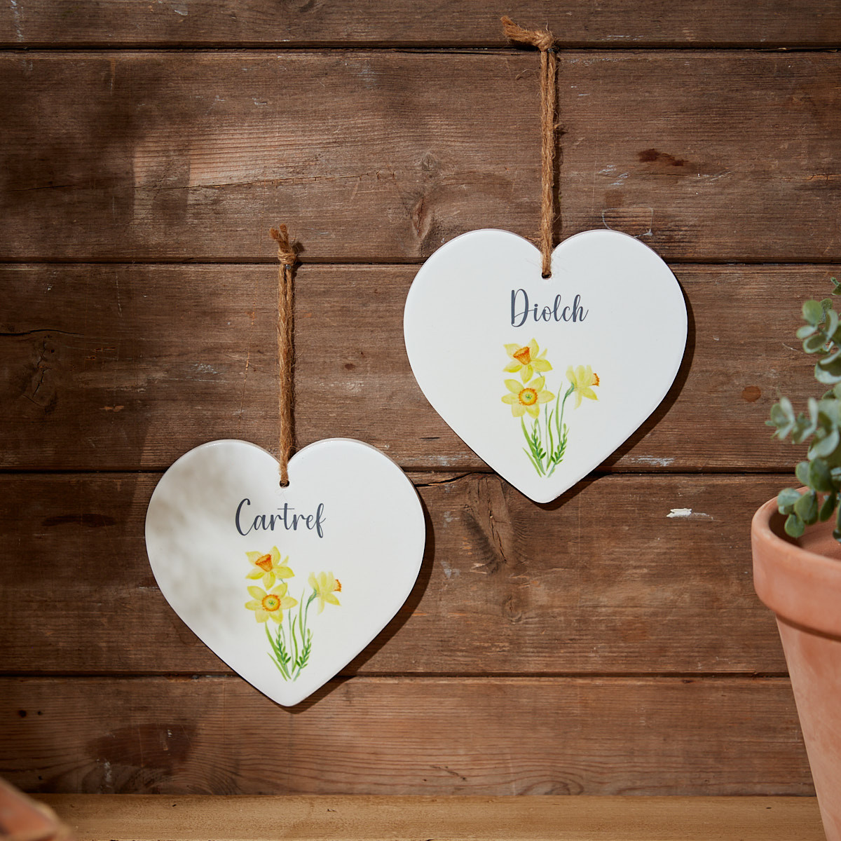 Ceramic Heart Plaque - Daffodil - Cartref or Diolch