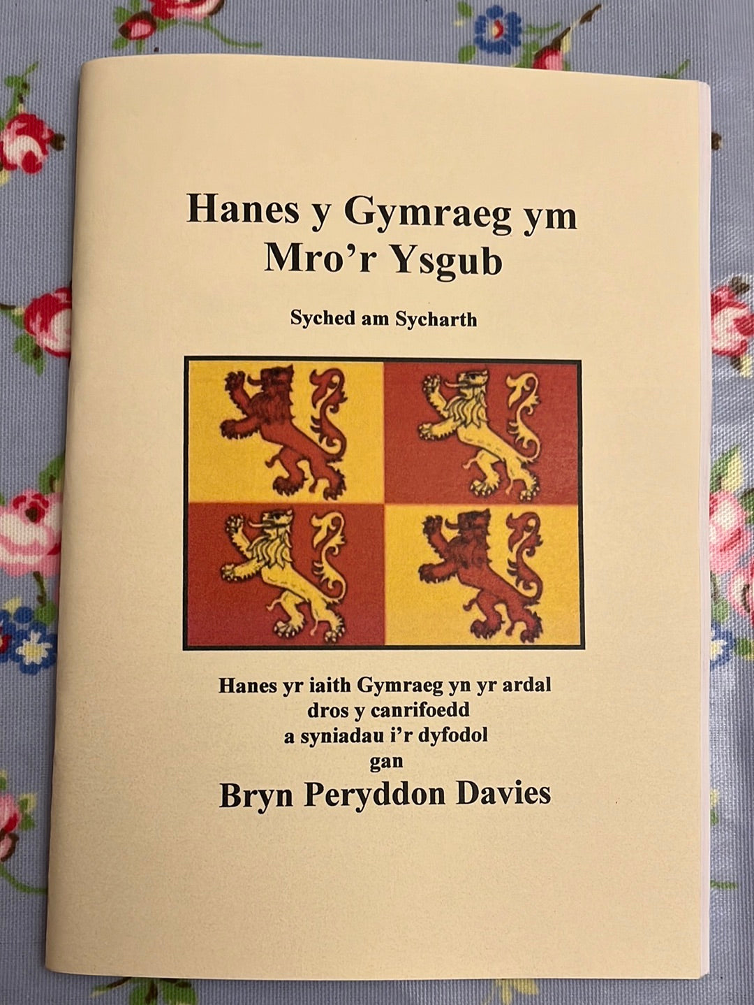 Syched am Sycharth: Hanes y Gymraeg ym Mro'r Ysgub - Bryn Peryddon Dav